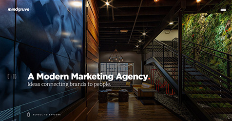 Digital Marketing Case Studies & Clients - Mindgruve